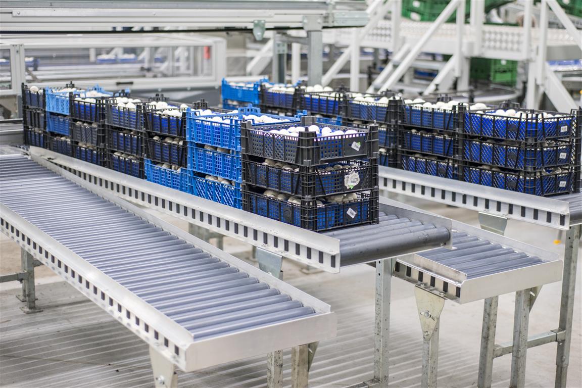 Reference - Polok - MyConveyor